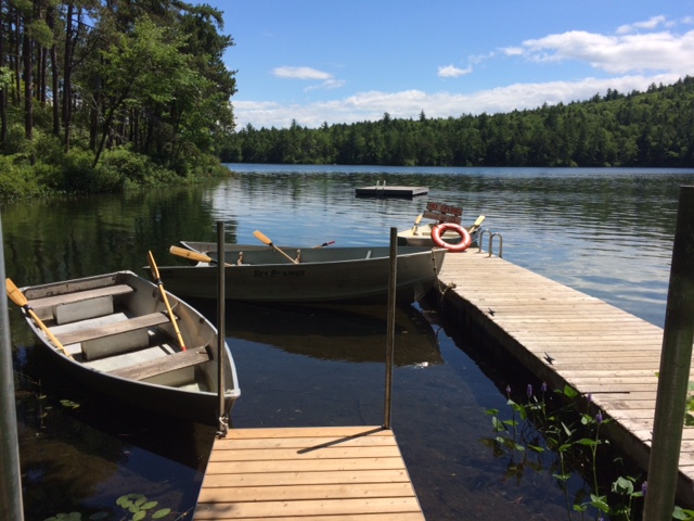 How Summer Camp and Social Justice Have Changed! | Elise Frances Miller